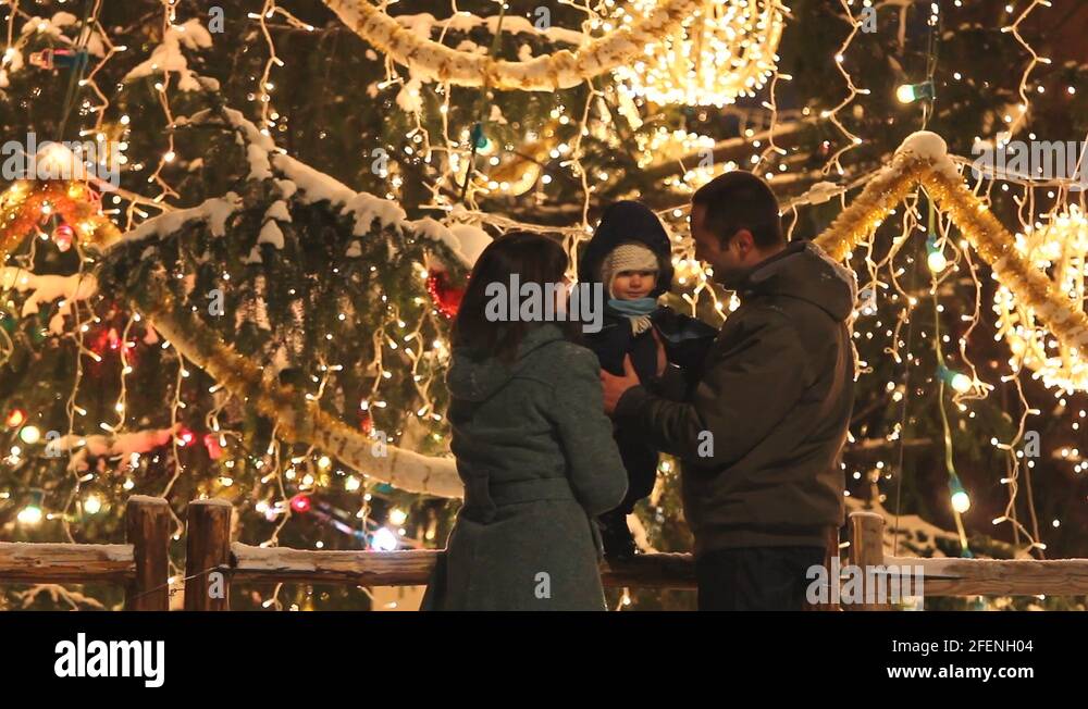 Family tree center Stock Videos & Footage - HD and 4K Video Clips - Alamy