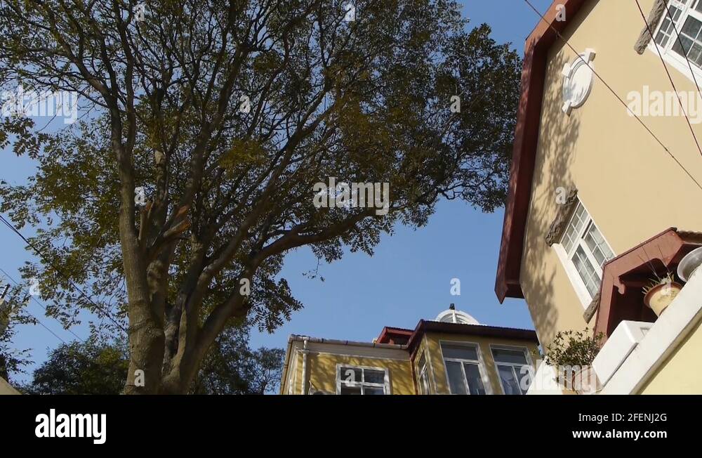 Canopy architecture Stock Videos & Footage - HD and 4K Video Clips - Alamy