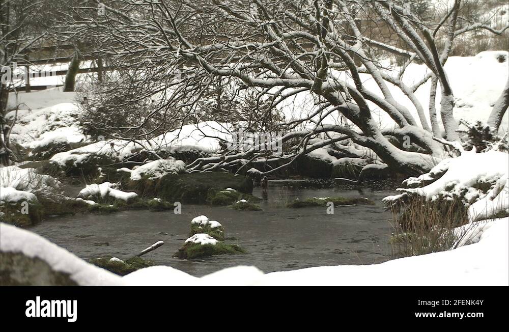 Snow laden Stock Videos & Footage - HD and 4K Video Clips - Alamy