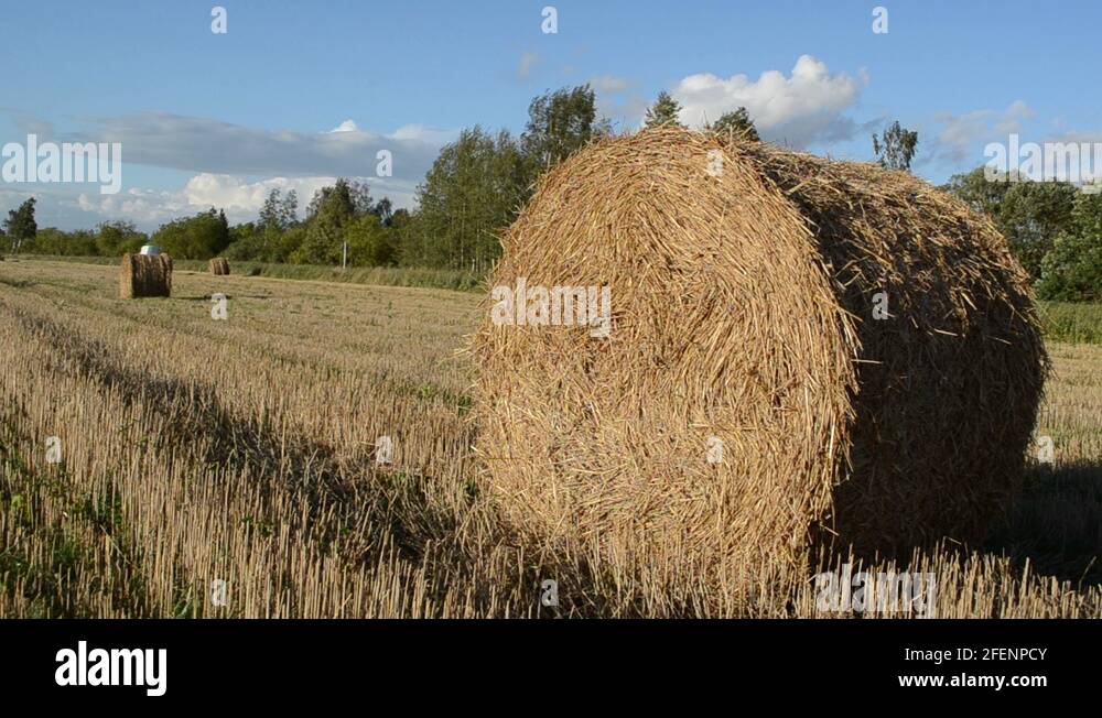 Bale roll Stock Videos & Footage - HD and 4K Video Clips - Alamy