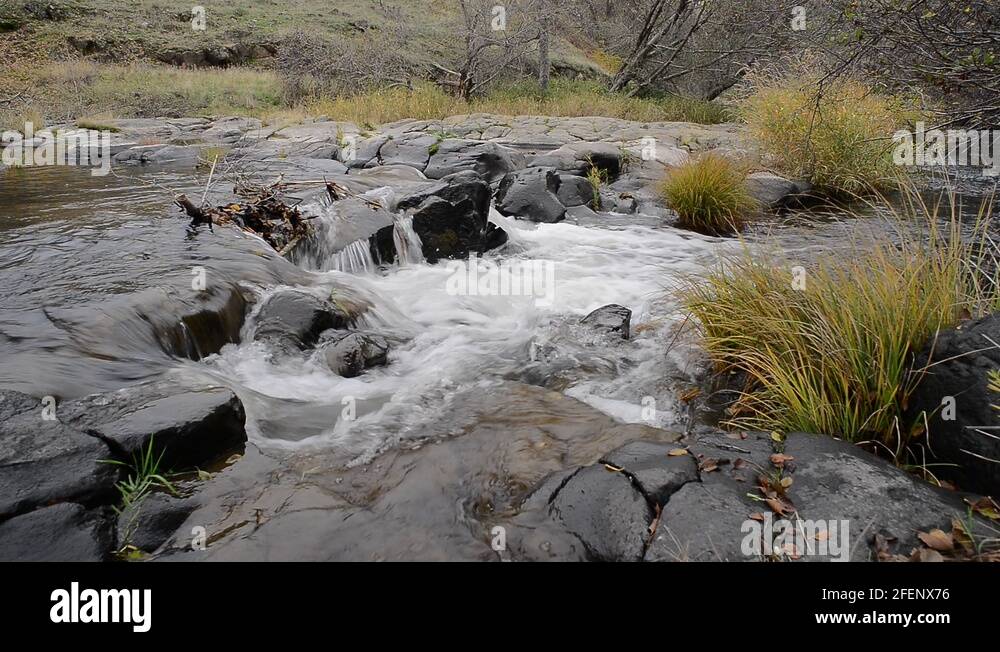 Stream beds Stock Videos & Footage - HD and 4K Video Clips - Alamy
