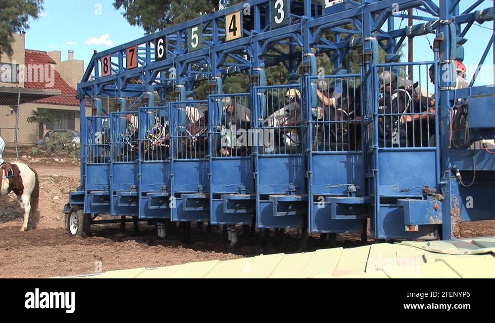 Horse out of starting gate Stock Videos & Footage - HD and 4K Video ...