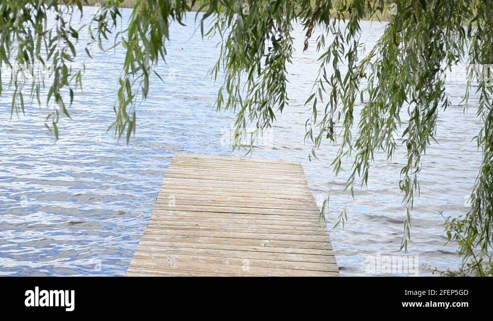 Wooden bridge under willow tree Stock Videos & Footage - HD and 4K ...