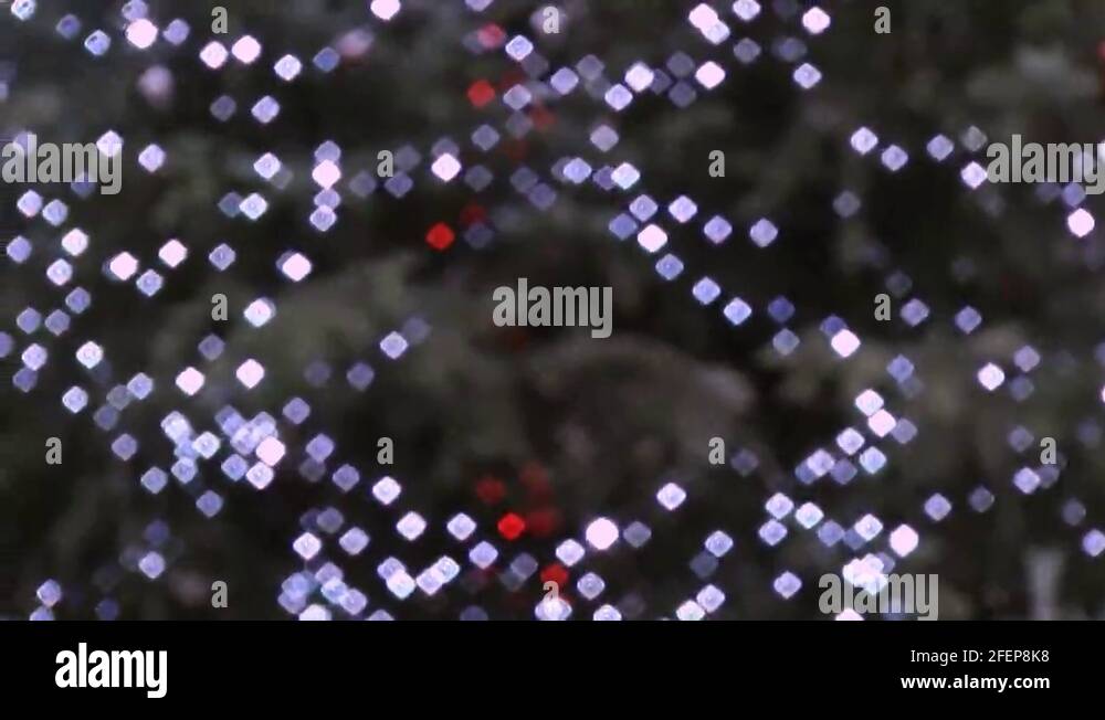 Sparkly tree Stock Videos & Footage - HD and 4K Video Clips - Alamy
