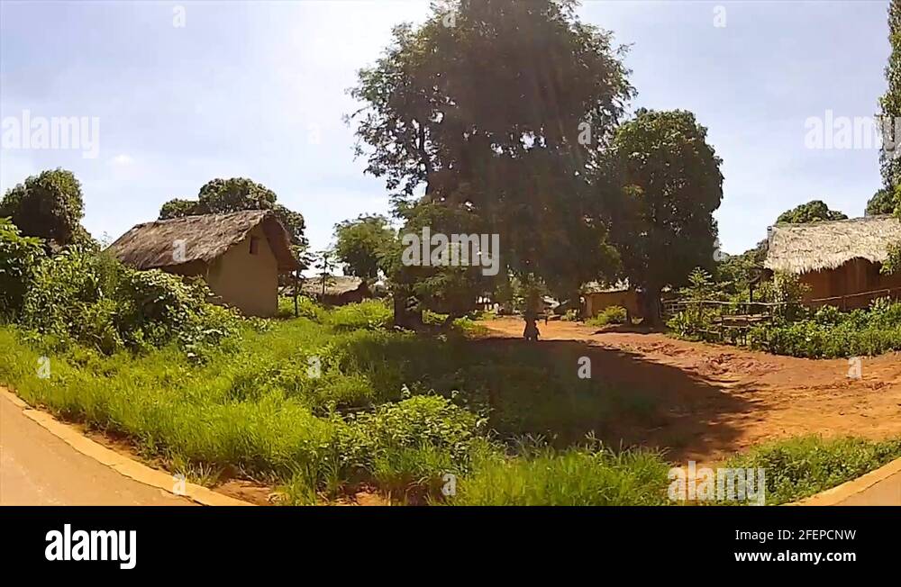 Madagascar speed person Stock Videos & Footage - HD and 4K Video Clips ...