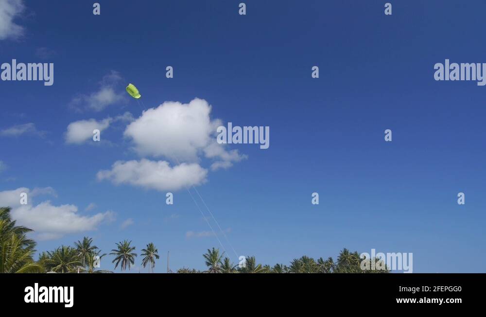 Flying a kite tree Stock Videos & Footage - HD and 4K Video Clips - Alamy