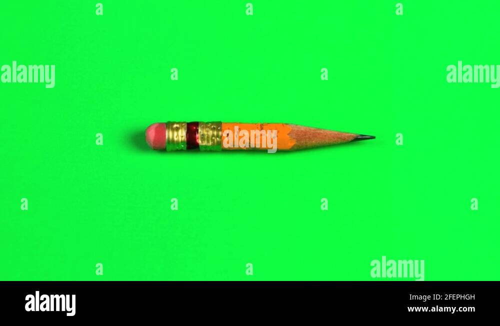 Short and stubby Stock Videos & Footage - HD and 4K Video Clips - Alamy