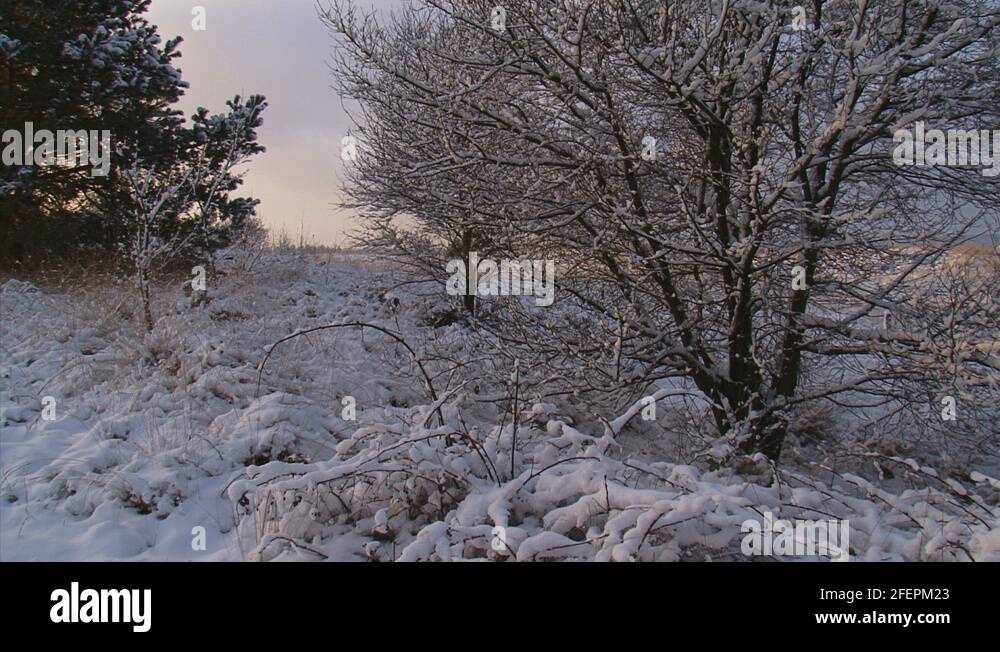 Ice age landscape Stock Videos & Footage - HD and 4K Video Clips - Alamy
