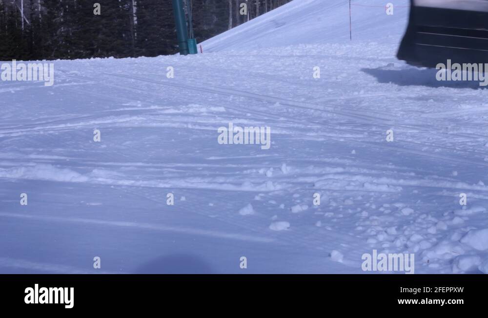 Cat tracks Stock Videos & Footage - HD and 4K Video Clips - Alamy