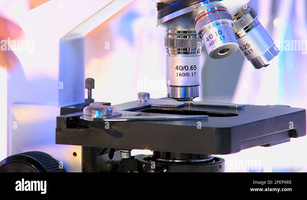 Slides microscope Stock Videos & Footage - HD and 4K Video Clips - Alamy