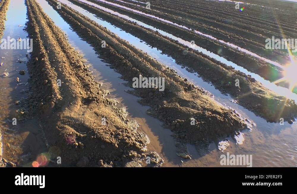 Irrigation projects Stock Videos & Footage - HD and 4K Video Clips - Alamy