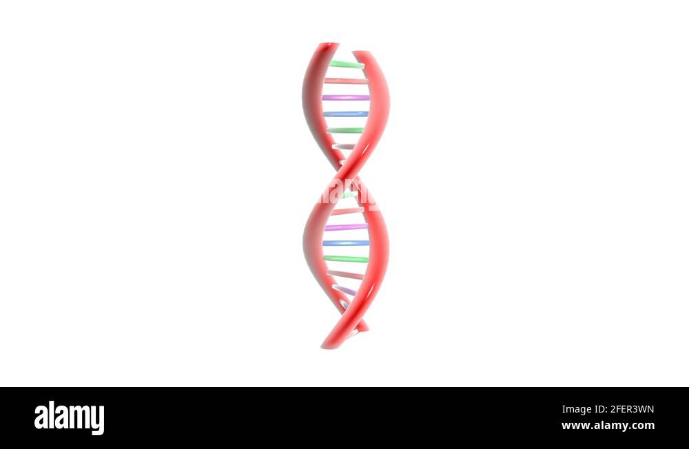 Adn genetic Stock Videos & Footage - HD and 4K Video Clips - Alamy