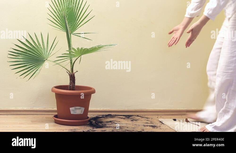 Mother ignoring baby Stock Videos & Footage - HD and 4K Video Clips - Alamy