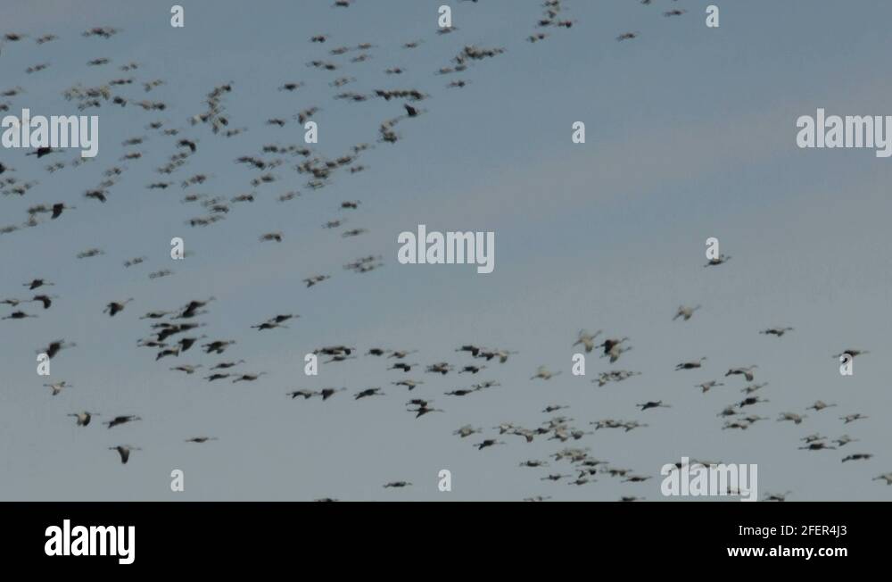 Air currents Stock Videos & Footage - HD and 4K Video Clips - Alamy