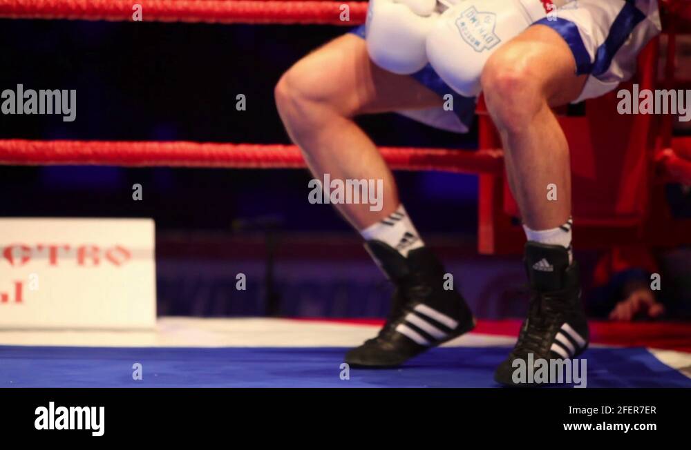 General view boxing ring in Stock Videos & Footage - HD and 4K Video ...