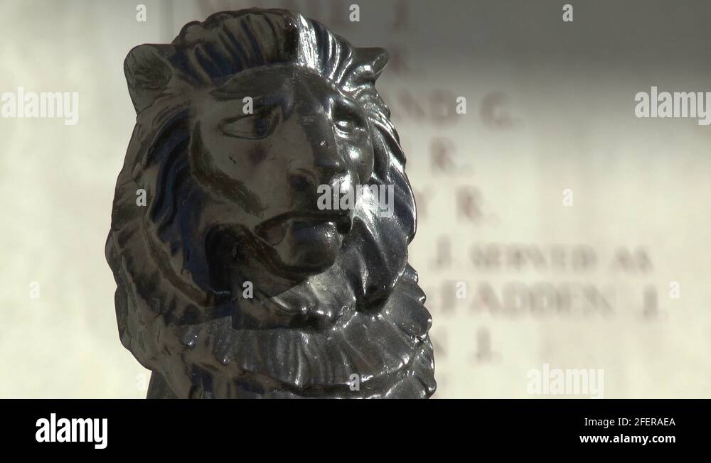 Lion figure Stock Videos & Footage - HD and 4K Video Clips - Alamy