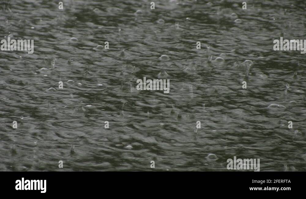 Bubbles of rain water Stock Videos & Footage - HD and 4K Video Clips ...