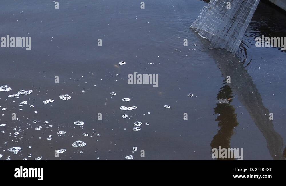 Fish cast net Stock Videos & Footage - HD and 4K Video Clips - Alamy