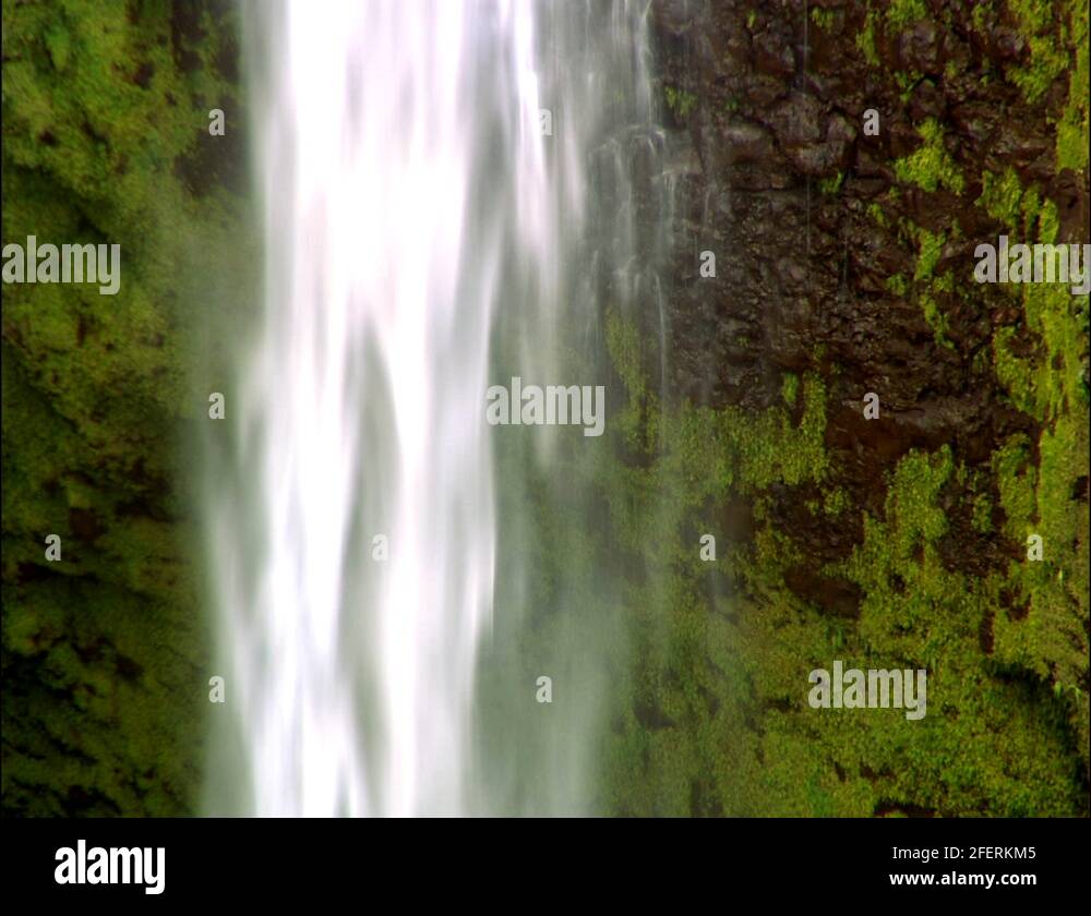 Akaka Stock Videos & Footage - HD and 4K Video Clips - Alamy