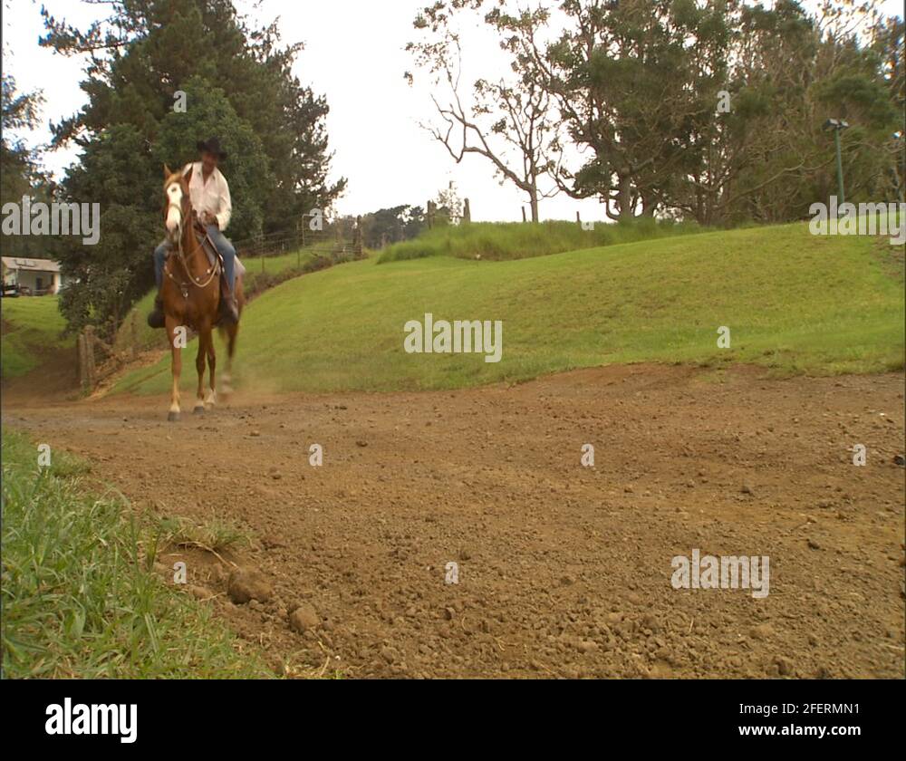Hawaiian cowboy Stock Videos & Footage - HD and 4K Video Clips - Alamy