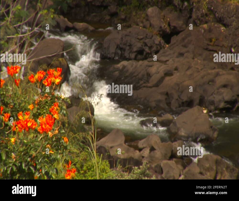 Boiling pots Stock Videos & Footage - HD and 4K Video Clips - Alamy