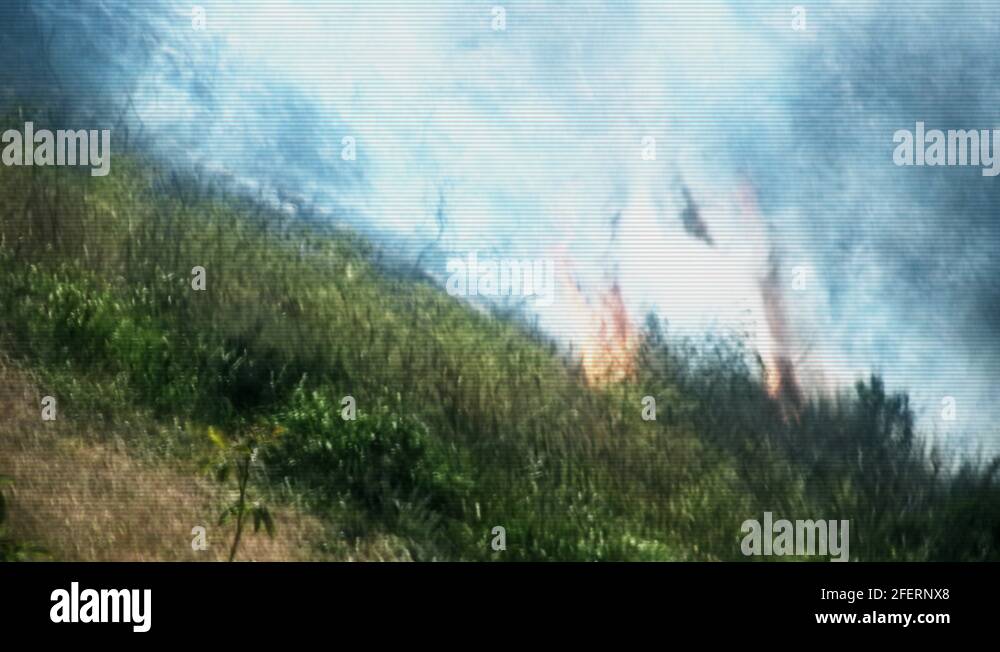 Corrupted nature Stock Videos & Footage - HD and 4K Video Clips - Alamy