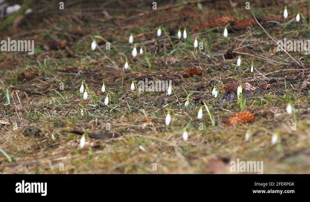 Ground cons Stock Videos & Footage - HD and 4K Video Clips - Alamy