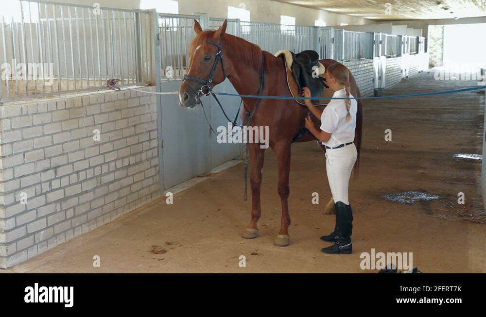 Jockey saddle Stock Videos & Footage - HD and 4K Video Clips - Alamy