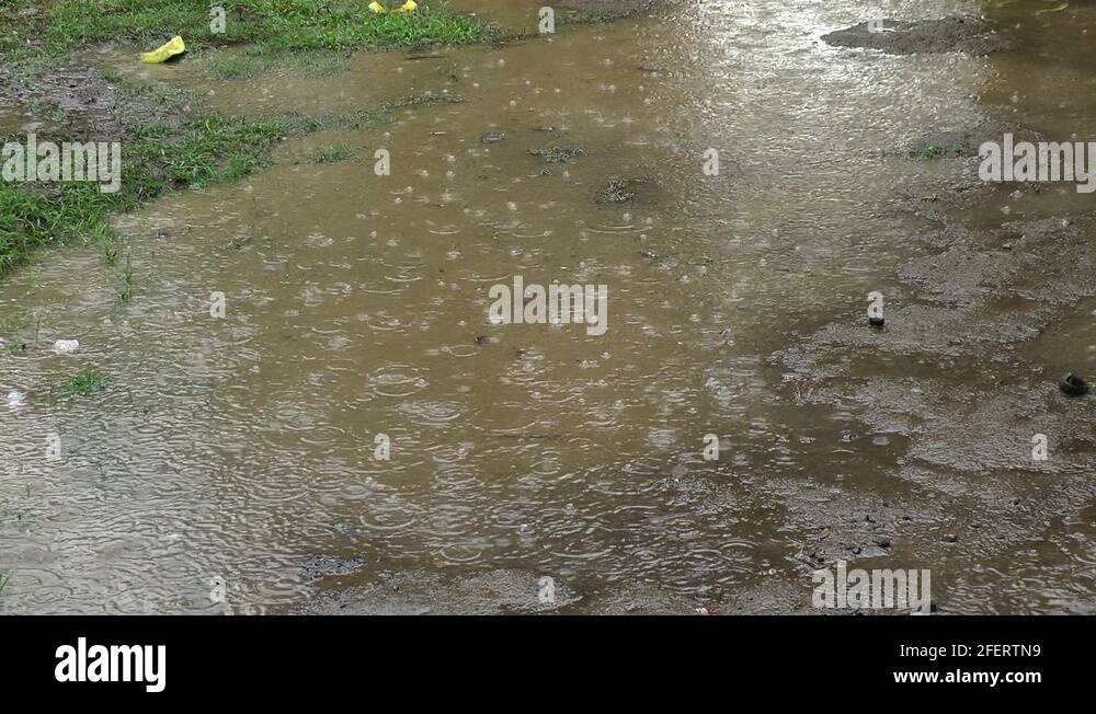 Rainfall Stock Videos & Footage - HD and 4K Video Clips - Alamy
