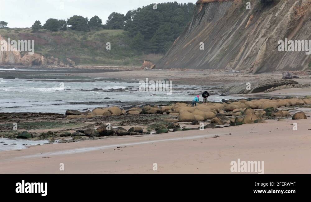 Naturist woman beach Stock Videos & Footage - HD and 4K Video Clips - Alamy