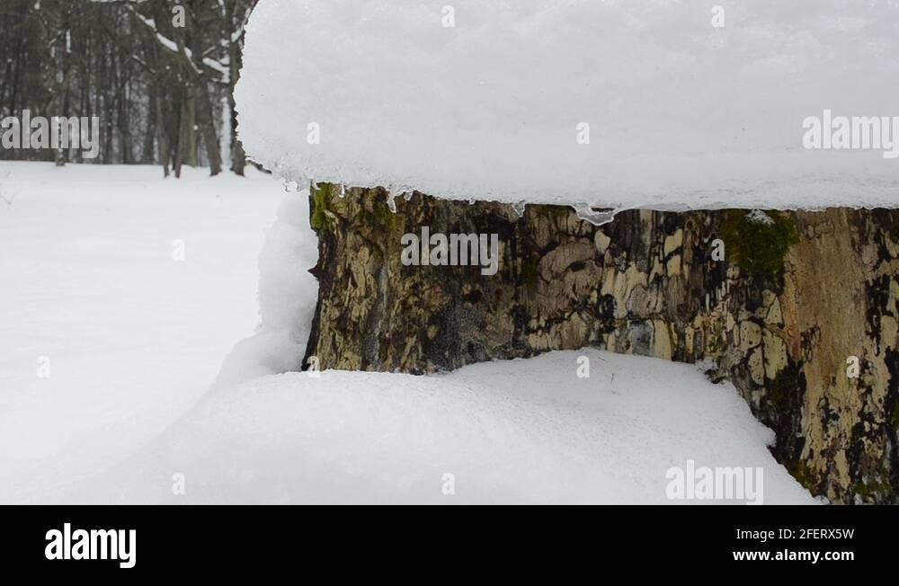 Drop down cover Stock Videos & Footage - HD and 4K Video Clips - Alamy