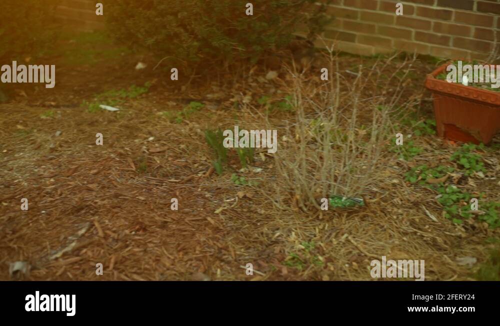 Raising the dead Stock Videos & Footage - HD and 4K Video Clips - Alamy