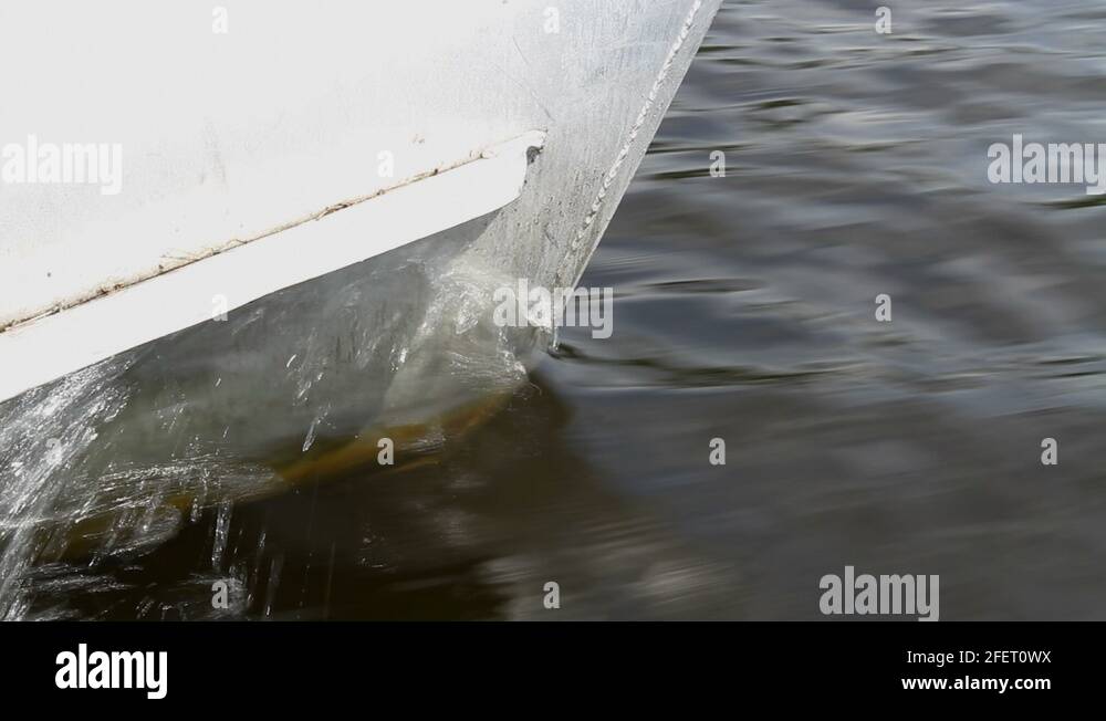 Bow wave Stock Videos & Footage - HD and 4K Video Clips - Alamy