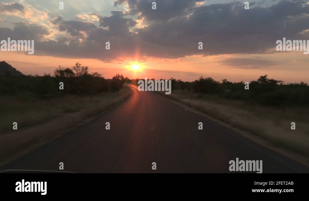 Kruger park game drive Stock Videos & Footage - HD and 4K Video Clips ...