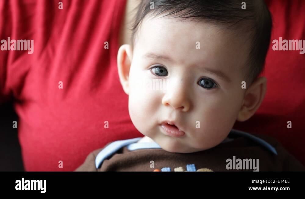 Wonder wonder Stock Videos & Footage - HD and 4K Video Clips - Alamy