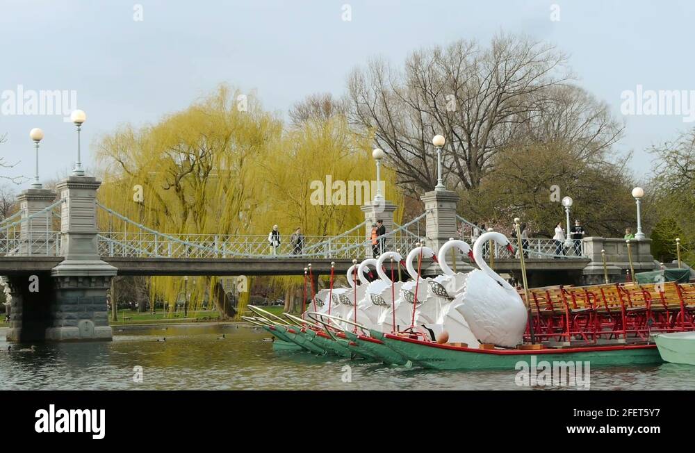 Swan boats boston common Stock Videos & Footage - HD and 4K Video Clips ...