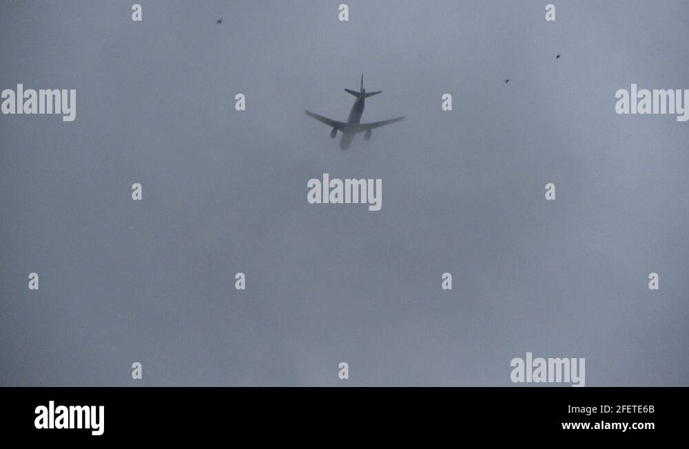 Jet in clouds Stock Videos & Footage - HD and 4K Video Clips - Alamy