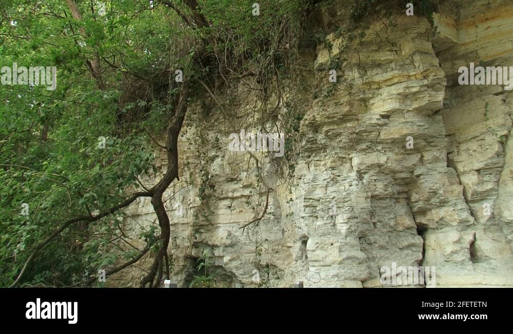 Permafrost trees Stock Videos & Footage - HD and 4K Video Clips - Alamy