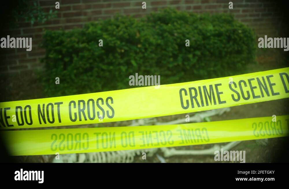 Skeleton dead Stock Videos & Footage - HD and 4K Video Clips - Alamy