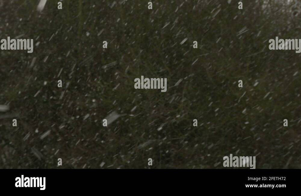 Snow wonder Stock Videos & Footage - HD and 4K Video Clips - Alamy