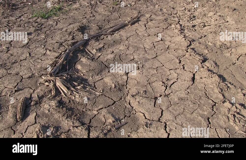 Drought parched soil Stock Videos & Footage - HD and 4K Video Clips - Alamy