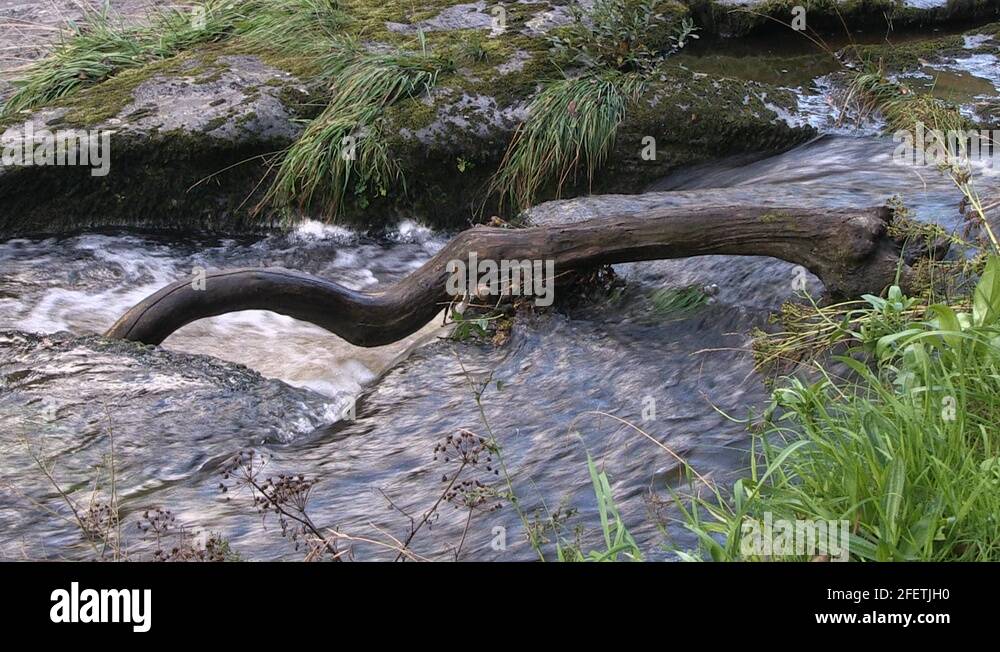 Stuck on the rocks Stock Videos & Footage - HD and 4K Video Clips - Alamy