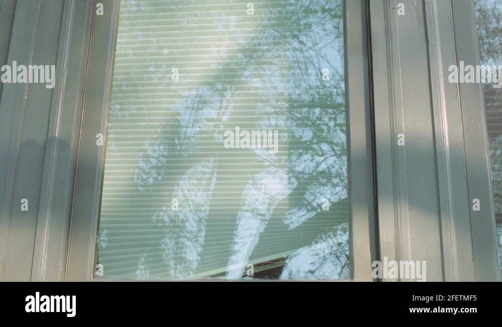 Out window Stock Videos & Footage - HD and 4K Video Clips - Alamy