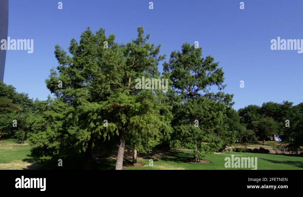 Gateway arch Stock Videos & Footage - HD and 4K Video Clips - Alamy