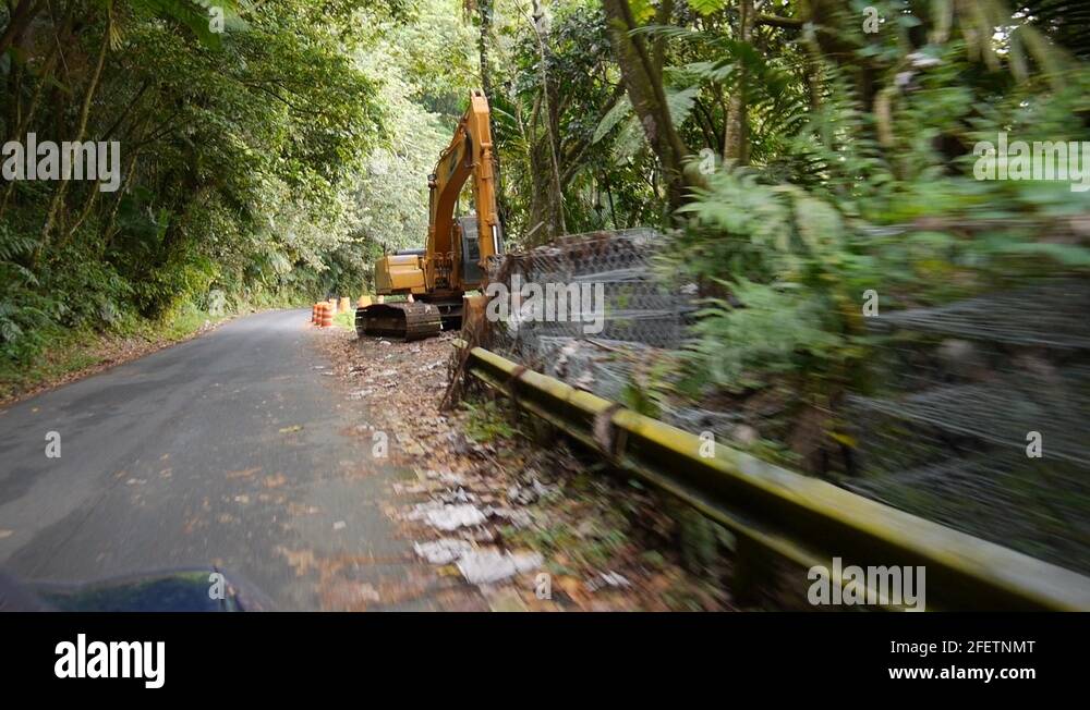 Forest ecosystem collapse Stock Videos & Footage - HD and 4K Video ...