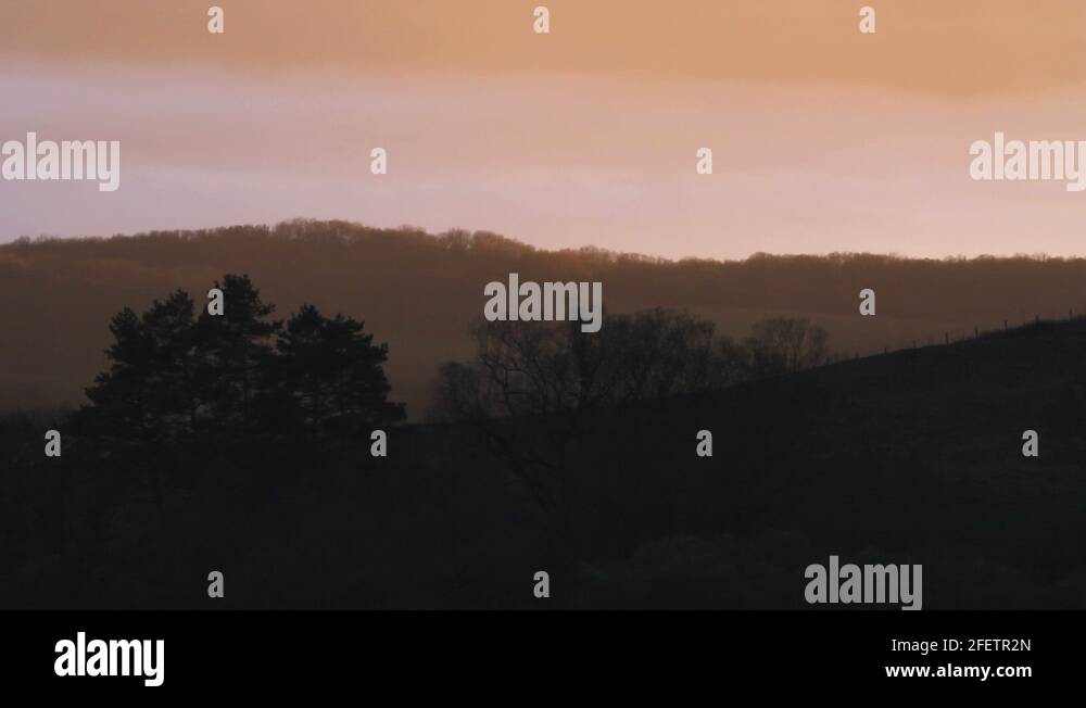Twilight forest Stock Videos & Footage - HD and 4K Video Clips - Alamy