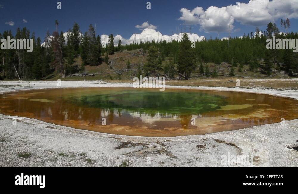 Chromatic spring Stock Videos & Footage - HD and 4K Video Clips - Alamy