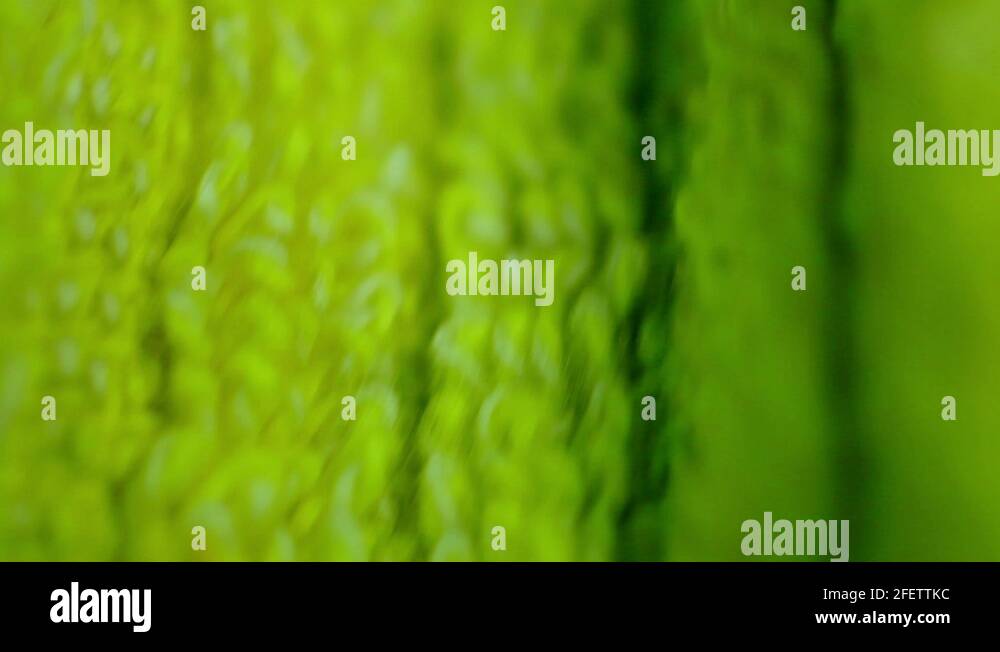 Close up fabric design Stock Videos & Footage - HD and 4K Video Clips ...