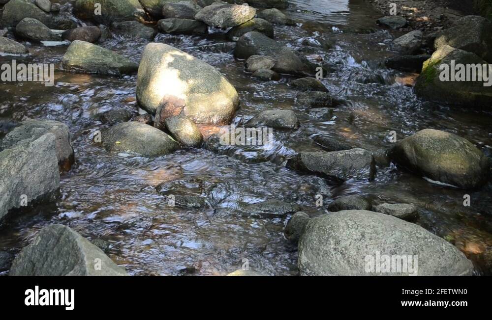 Forest brook flow stones Stock Videos & Footage - HD and 4K Video Clips ...