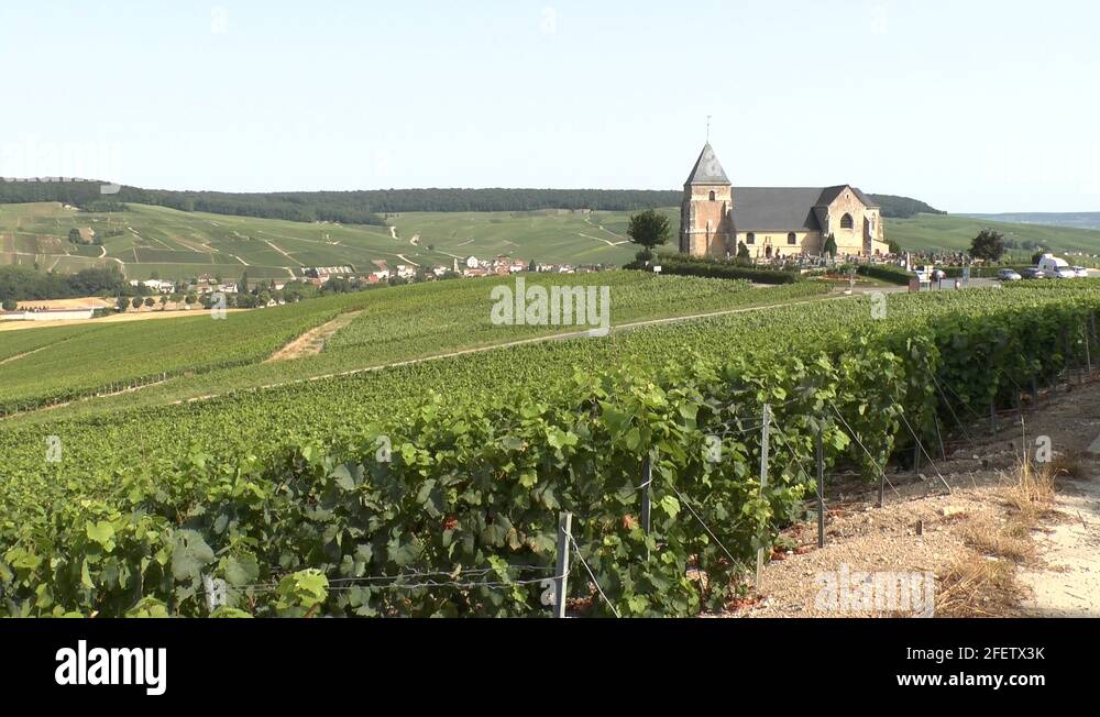 Champagne ardenne france vineyard Stock Videos & Footage - HD and 4K ...
